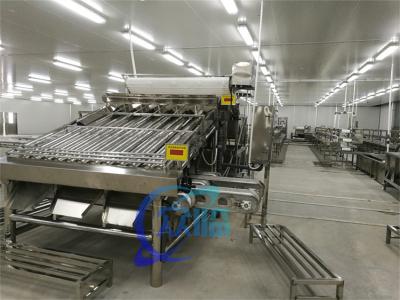 China Meeresfrüchte Ausrüstung Shrimp Peeling Machine Shrimp Shell Verarbeitung Maschine Edelstahl-Roller Schnelle Shrimp Grading Mac zu verkaufen