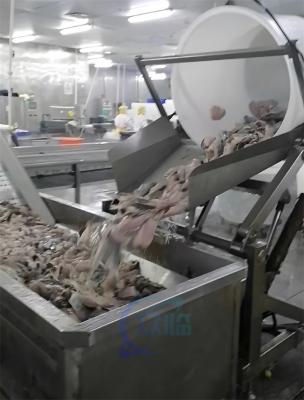 Cina Macchina per la lavorazione e l'alimentazione dei gamberetti per il grande frigorifero gigante isolato in vendita