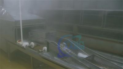 China Sushi stainless steel cleaning machine customized shrimp boiling machine belt steam blanching machine for sale
