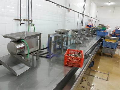 Cina Tagliatrice acquatica del gamberetto dei sushi della macchina utensile del gamberetto di alta precisione in vendita