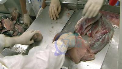 China Automatic Stainless Steel Small Fish Skin Removing Peeling Cutting Skinning Machine For Fish Fish Scale Peeling Machine for sale