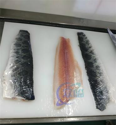Cina Macchine semiautomatiche per scuoiare i pesci Macchine per la pulizia e la lavorazione delle pelli di calamari e di tilapia Macchine per la scuoiatura dei pesci in vendita