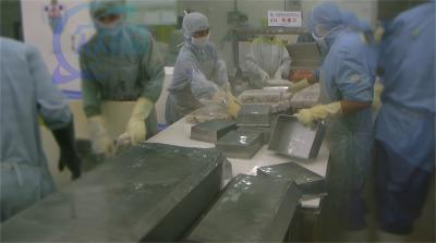 Cina Pesce separato della macchina del vassoio e vassoio congelato gamberetto isolati nella fabbrica di elaborazione dei frutti di mare in vendita