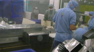 Cina Pesce separato della macchina del vassoio e vassoio congelato gamberetto isolati nella fabbrica di elaborazione dei frutti di mare in vendita