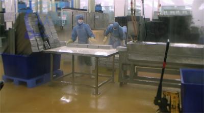 China Ausrüstung zur Verarbeitung von Fisch und Garnelen zu verkaufen