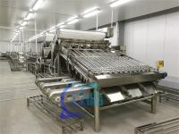 China Automatic Large Capacity Sardine Sorting & Grading Machine with Rollers Fish Sizing Machine 4.9KW for sale