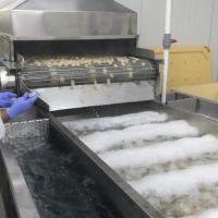 China Durable 380V Seafood Cooling Machine Prawn Processing Machine Fish Processing Machine Shrimp Cooling Machine for sale