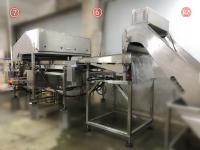 China CE Industrial Shrimp Processing Unit Multifunctional for Head Removing Shrimp Deheading System Prawn Deheading Line Prawn Header for sale