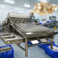 China Industrial Prawn Sorting Machine for Shrimp Processing Waterproof Prawn Grading Machine Automatic Prawn Sizing Machine for sale
