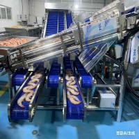 China Cheap Roller Prawn Grading Machine Multi Function Shrimp Sorter Durable Prawn Roller Sorting Machine Hot Sale Prawn Grader for sale