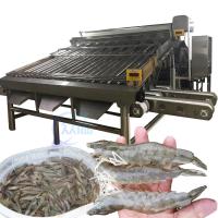 China Seafood and Shrimp Grading Processing Machine, Shrimp and Fish Sorting Machine, Crayfish and Shrimp Grading Machine for sale