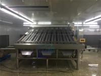 China Seafood and Shrimp Grading Processing Machine, Shrimp and Fish Sorting Machine, Crayfish and Shrimp Grading Machine for sale