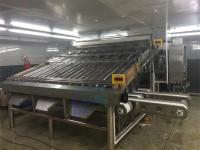 China Seafood and Shrimp Grading Processing Machine, Shrimp and Fish Sorting Machine, Crayfish and Shrimp Grading Machine for sale