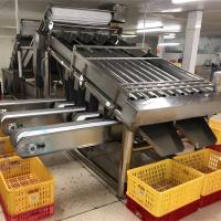 China Seafood Fish and Shrimp Processing Plant Size Sorting Machine Fish Size Sorting Machine for sale