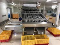 China Farmed Shrimp Harvest Rapid Sorting and Size Specification Machine Shrimp Sorting Machine for sale