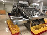 China Farmed Shrimp Harvest Rapid Sorting and Size Specification Machine Shrimp Sorting Machine for sale