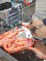 China Easy Operate Shrimp EBI Cutting Machine Prawn Belly Open Machine for sale