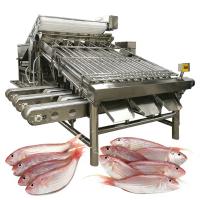 China Efficient Fish Sorting Machine Fish Sizing Machine and Fish Specification Machine 1000kg-1200kg Fish Sorter for Fish Processing for sale