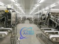 China Efficient Fish Sorting Machine Fish Sizing Machine and Fish Specification Machine 1000kg-1200kg Fish Sorter for Fish Processing for sale