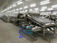 China Efficient Fish Sorting Machine Fish Sizing Machine and Fish Specification Machine 1000kg-1200kg Fish Sorter for Fish Processing for sale
