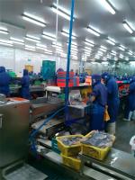 China Semi-automatic Fish Peeling Machine Fish Processing and Peeling Production Line Electric Peeling Machine for sale