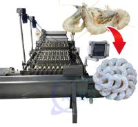 China Efficiency Fresh Shrimp Peeling Shell Removing Processing Machine,Small Sized Shrimp Peelers for sale