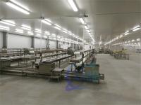 China Shrimp Processing Line Shrimp De-heading and Shelling Processing Line Fish Processing Factory Production Line for sale