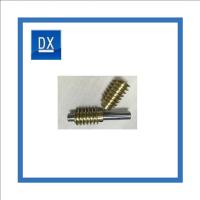 China Copper Automatic Massager Worm Diameter 22mm Large Modulus Precision Worm for sale