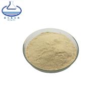 Cina Ginsenoside spolverizza l'estratto del ginseng della polvere dell'estratto della radice del ginseng di 80% in vendita