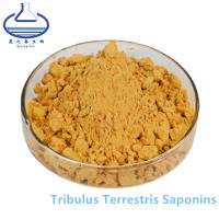 China 90% Powdered Herbal Extracts Tribulus Terrestris Saponins CAS 55056-80-9 for sale
