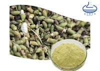 China CAS 153-18-4 extractos puros de la planta, polvo del extracto de Japonica del Sophora de la rutina del hidrato en venta