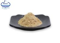 China Ginsenoside 20% Pure Coenzyme Q10 Panaxoside Ginseng Extract CAS 11021-14-0 for sale