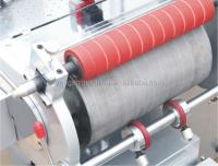 China Automatic High Speed Label Roll Die Cutting Machine 380V 10kw for sale