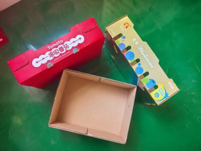 China Máquina de Dobragem de Caixas de Frutas Multifuncional Totalmente Automática à venda