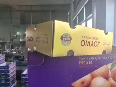 China Máquina de Dobragem de Caixas de Frutas Multifuncional Totalmente Automática à venda