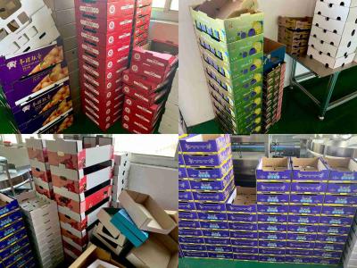 China Máquina Automática de Colagem e Dobragem de Caixas de Frutas de Papelão Ondulado com Caixa Coletora à venda