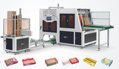 Cina Macchina piegatrice multifunzionale automatica per scatole di frutta in vendita