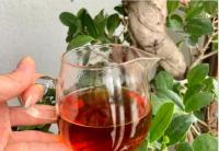 China China Black Oolong Tea - Bitter Taste Authentic Origin for sale