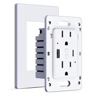 Quality 15A 125V Smart Socket Customized Wifi Controlled Power Outlet With PD20W Fast for sale