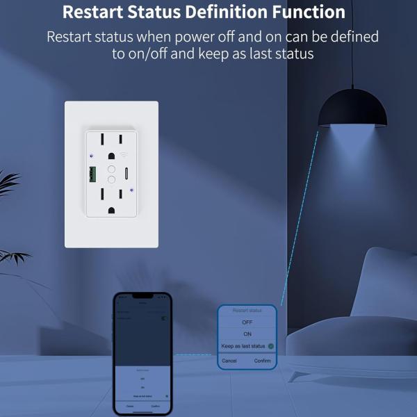 Quality 15A 125V Smart Socket Customized Wifi Controlled Power Outlet With PD20W Fast for sale
