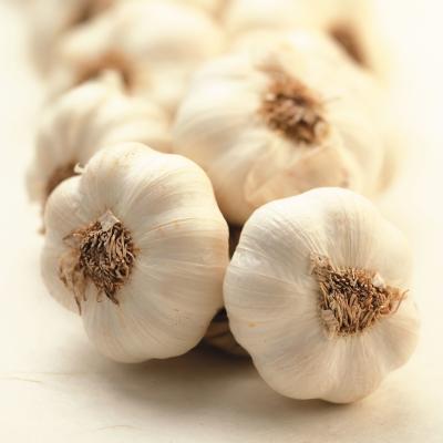 China 2015 NEW CROP Fresh Garlic For Sales for sale