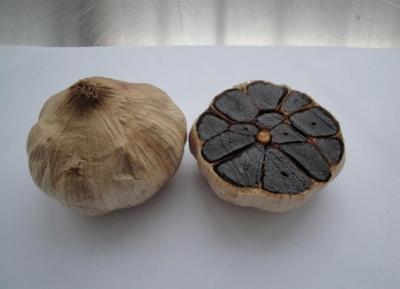 China organic fermented black garlic,natural aged balck garlic for sale