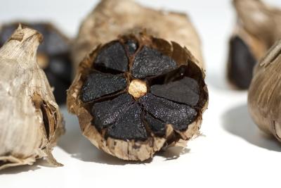 China Manufacturer Supply Korean black garlic extract and garlic P.E. free sample for sale