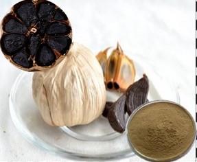China Fermented Black Garlic Extract Powder for sale