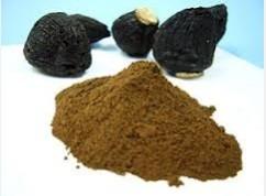 China Orderless Aged Black Garlic P.E./Fermented Black Garlic Powder for sale