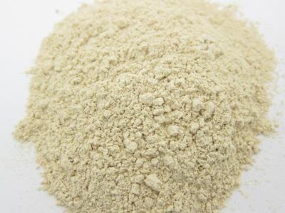 China free sample garlic extract allicin powder for sale