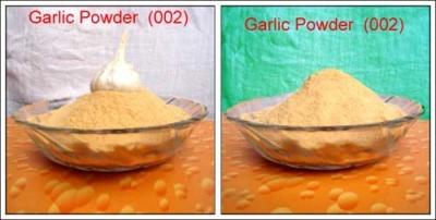 China Fresh White Garlic Powder,Dehydrated Garlic Powder,Dried Garlic Powder for sale