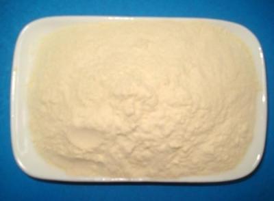 China 100 mesh white garlic powder for sale
