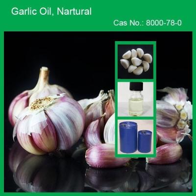 China Natural Garlic Extract with 1%-5% Allicin,Black Garlic Extract,supply pure Garlic Oil for sale