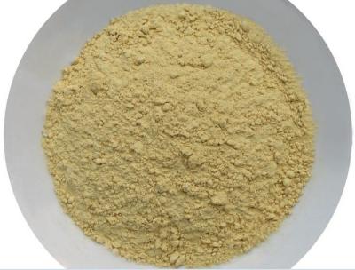 China instant Ginger Powder, Ginger Root Powder for sale